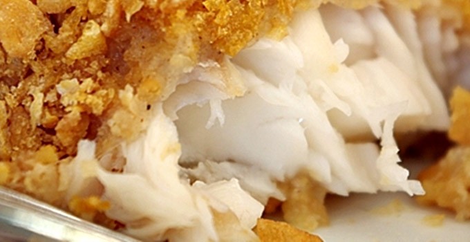 Hrskavi riblji fileti - Lupo Marshall